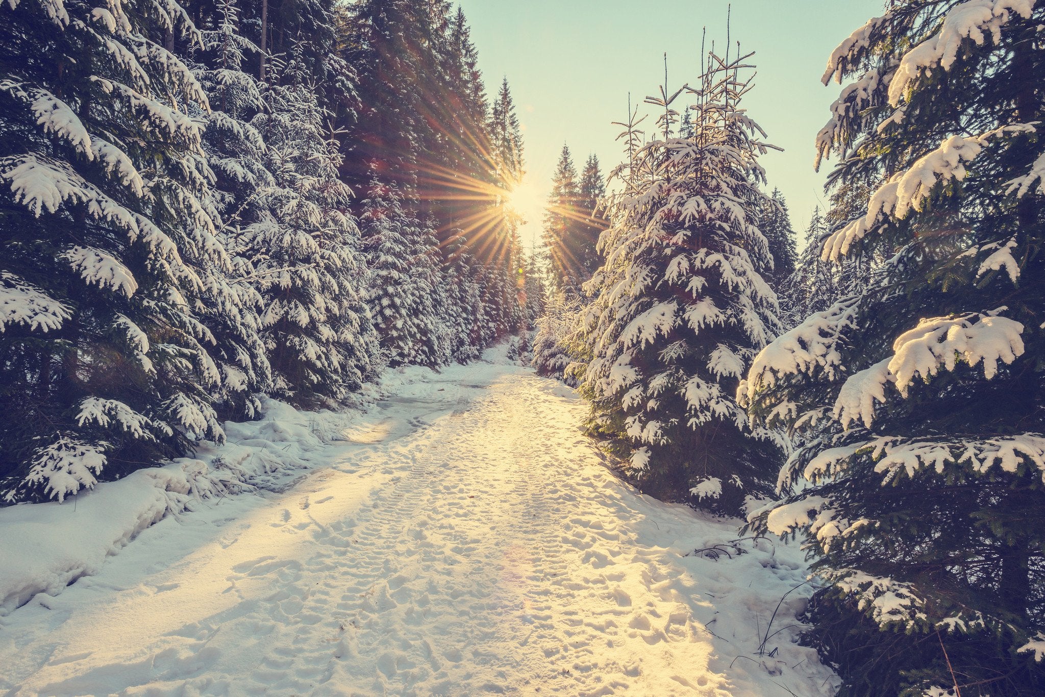 How to Use Nature, Sunlight, and Any Climate to Improve Health